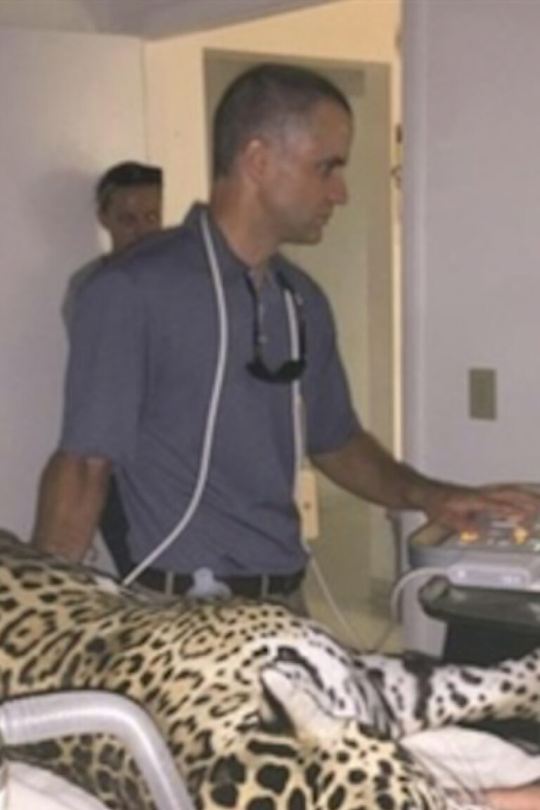 Veterinarian Team | Gardens Animal Hospital