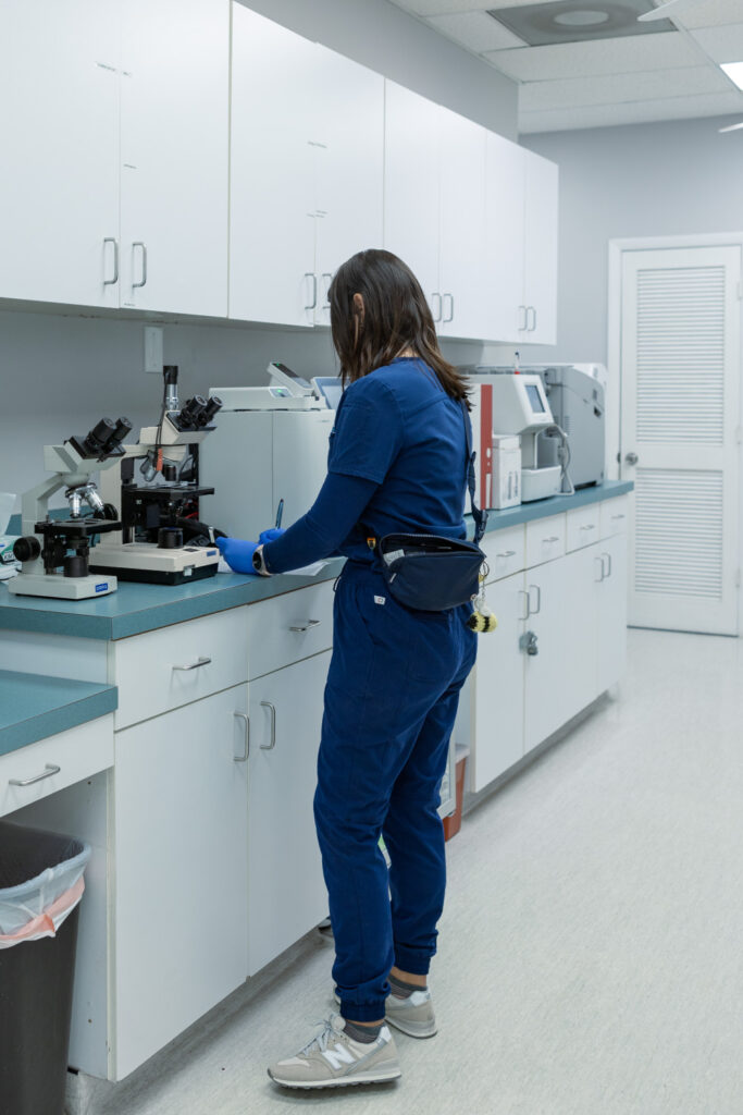 Pet Diagnostic Testing | Gardens Animal Hospital