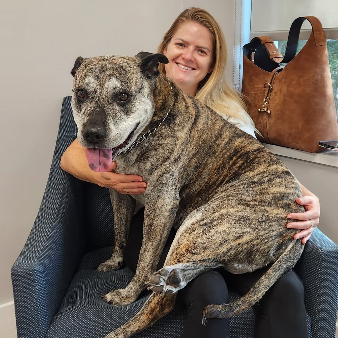Senior Pet Care: How Pets Age Affects Your Dog or Cat